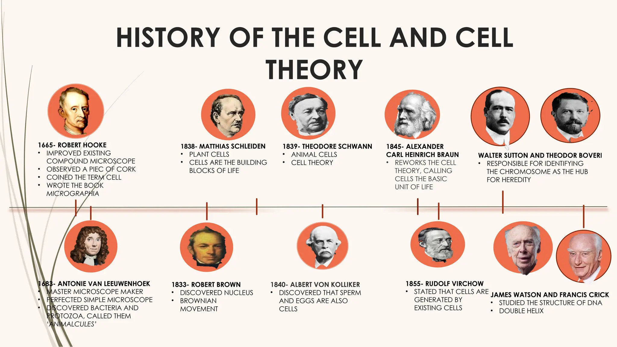 Intro_Cell-and-Molecular-Biology.pptxxxx | PPTX