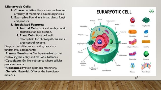 Introduction to cell biology_Biology of Cells | PPT