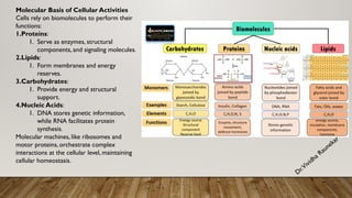 Introduction to cell biology_Biology of Cells | PPTX