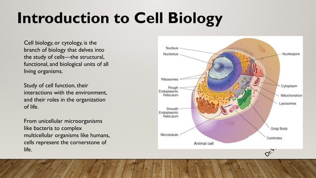 Introduction to cell biology_Biology of Cells | PPTX