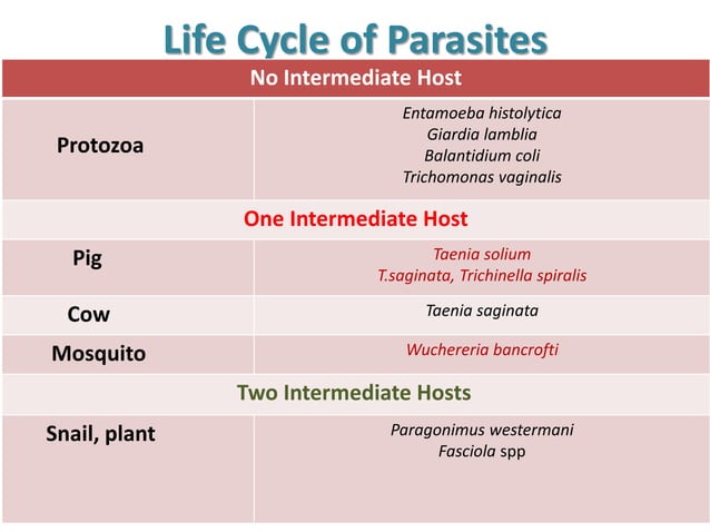 Introcuction to Medical Parasitology | PPTX | Infectious Diseases ...