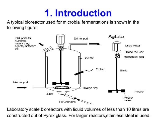 Stirred tank bioreactor