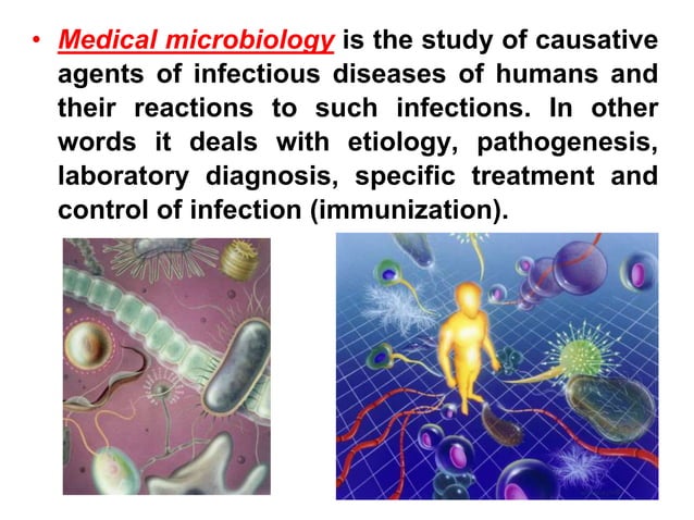 Introduction. medical microbiology 1 | PPTX | Infectious Diseases | Diseases and Conditions