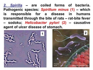 Introduction. medical microbiology 1 | PPT