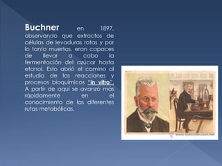 Introducción a la Bioquimica para estudiantes de Ingeniería Pesquera | PDF