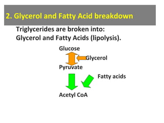 Introdction of metabolism | PPT