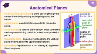 introdction to anatomy. Medical students and nurses. | PPTX