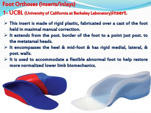 Introd &ll orthosis dr.aliaa