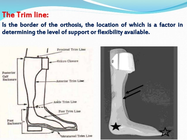 Introd &ll orthosis dr.aliaa