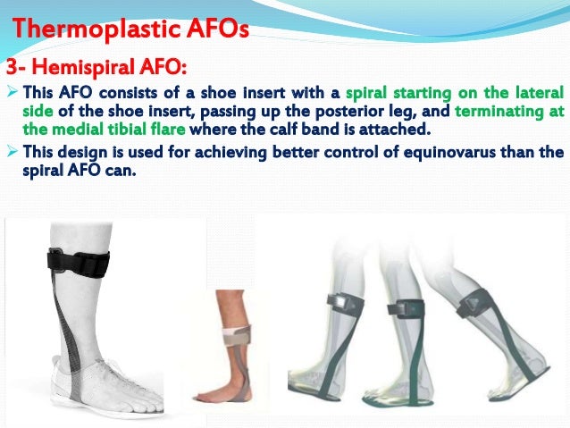 Introd &ll orthosis dr.aliaa