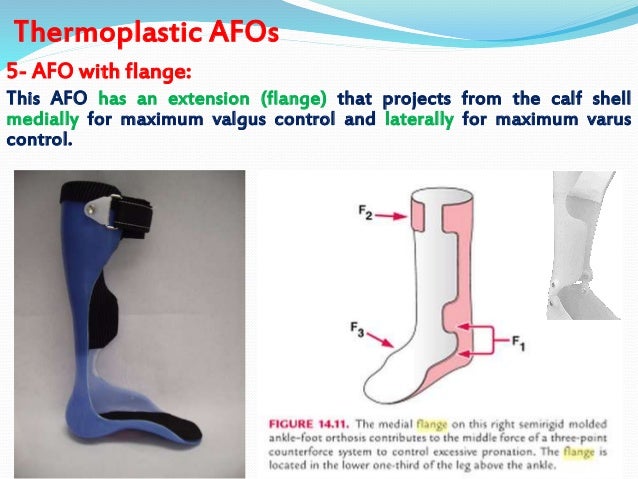 Introd &ll orthosis dr.aliaa