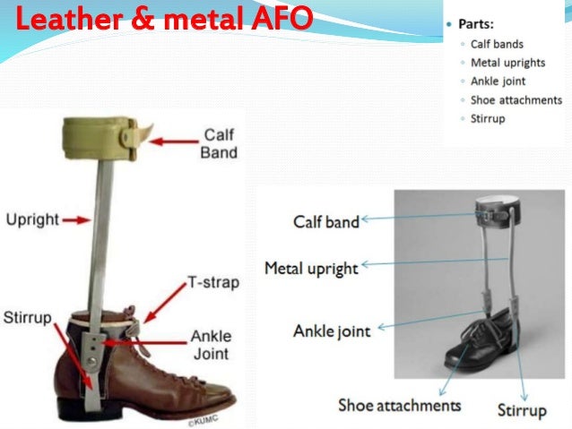 Introd &ll orthosis dr.aliaa