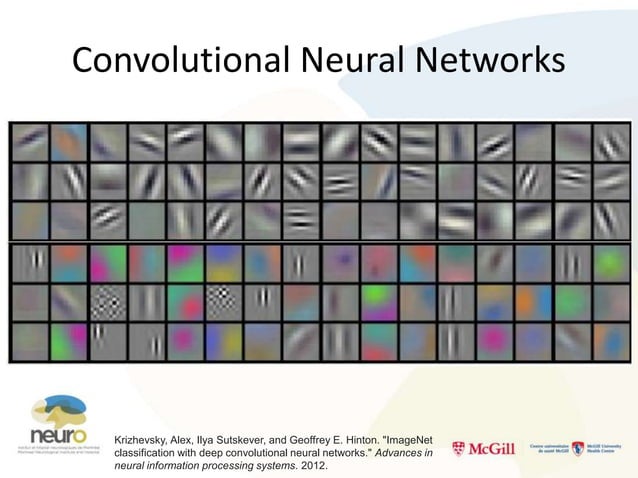 Introduction to Deep Learning for Neuroimaging | PPT