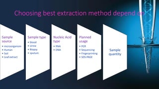 intro DNA Extraction.pdf
