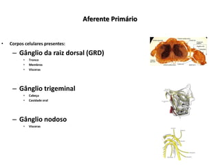Introducao-a-Fisiopatologia-da-dor.pdf