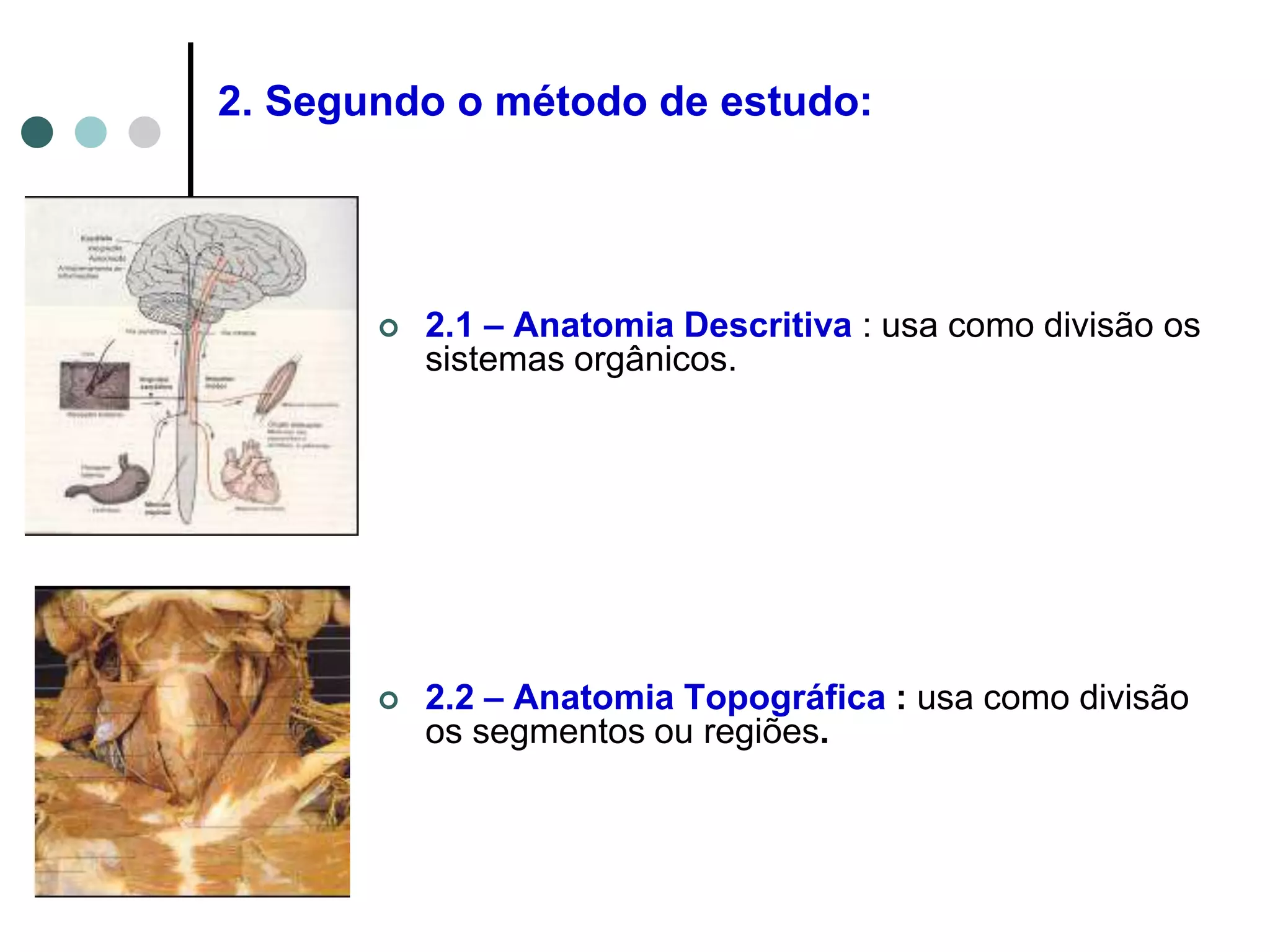 Introducao_a_Anatomia_ppt.ppt