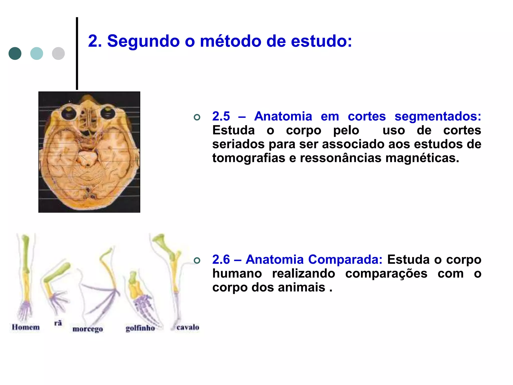 Introducao_a_Anatomia_ppt.ppt