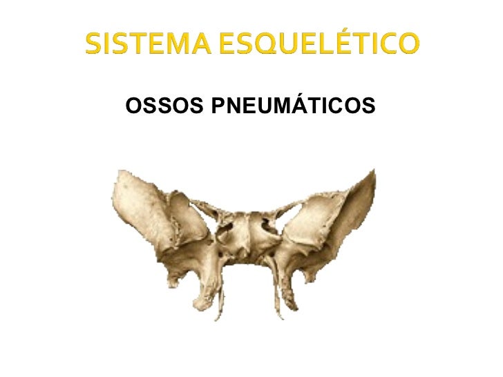 Introducao ao estudo de anatomia_humana