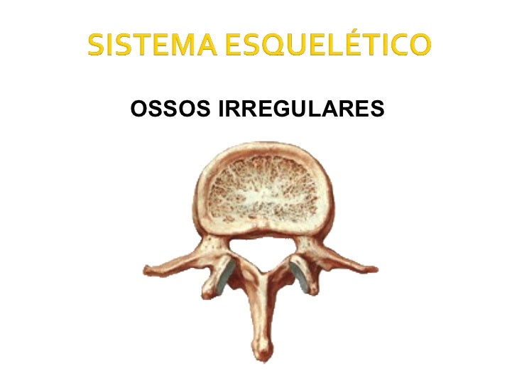 Introducao ao estudo de anatomia_humana