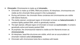 Introduction to genetics : Gene, DNA, Chromosomes | PPTX