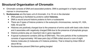 Introduction to genetics : Gene, DNA, Chromosomes | PPTX