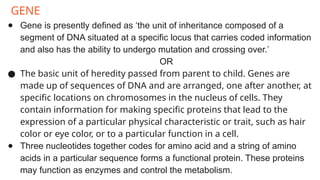 Introduction to genetics : Gene, DNA, Chromosomes | PPTX