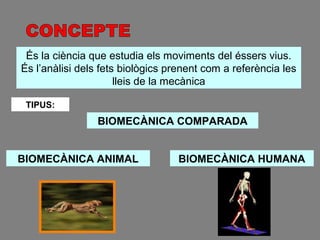 Introducción a la biomecánica | PPT