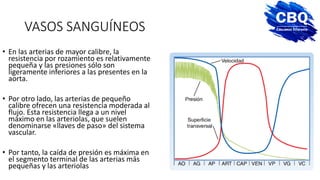 introduccic3b3n-a-la-funcic3b3n-cardiovascular-uti.pdf