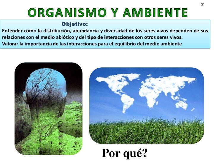 El Medio Ambiente Y La Relacin Con Los Seres Vivos By El Medio