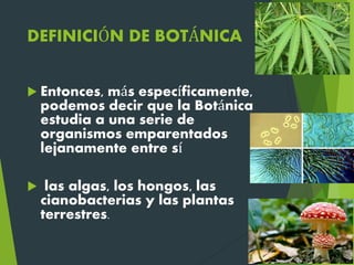 Introducción a la_botanica_farmaceutica!!! | PPTX