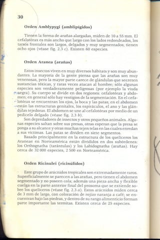 Introducciòn a la entomologìa. cabezas melara, fidel a. | PDF