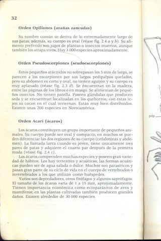 Introducciòn a la entomologìa. cabezas melara, fidel a. | PDF