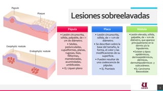 Introducción a la Morfología, lesiones elementales | PPTX