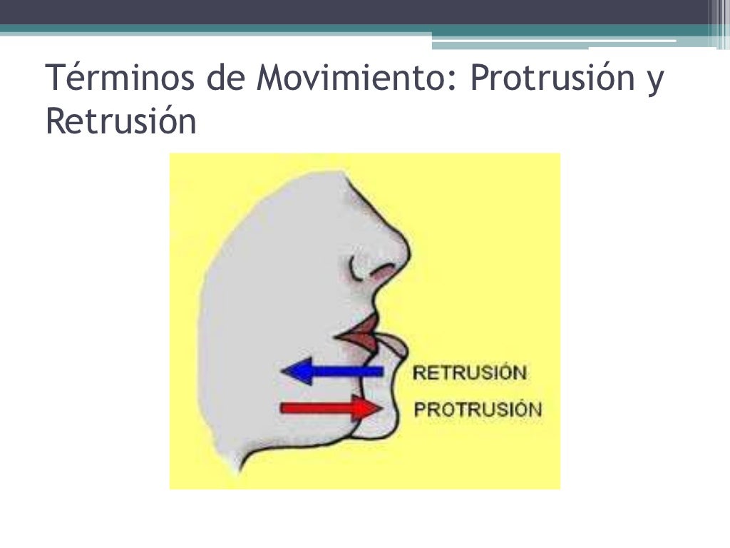 Introducción a la morfología humana