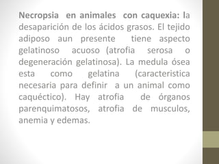 Introducción a la patología general, sistemática | PPTX