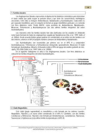 Introducción a las angiospermas | PDF