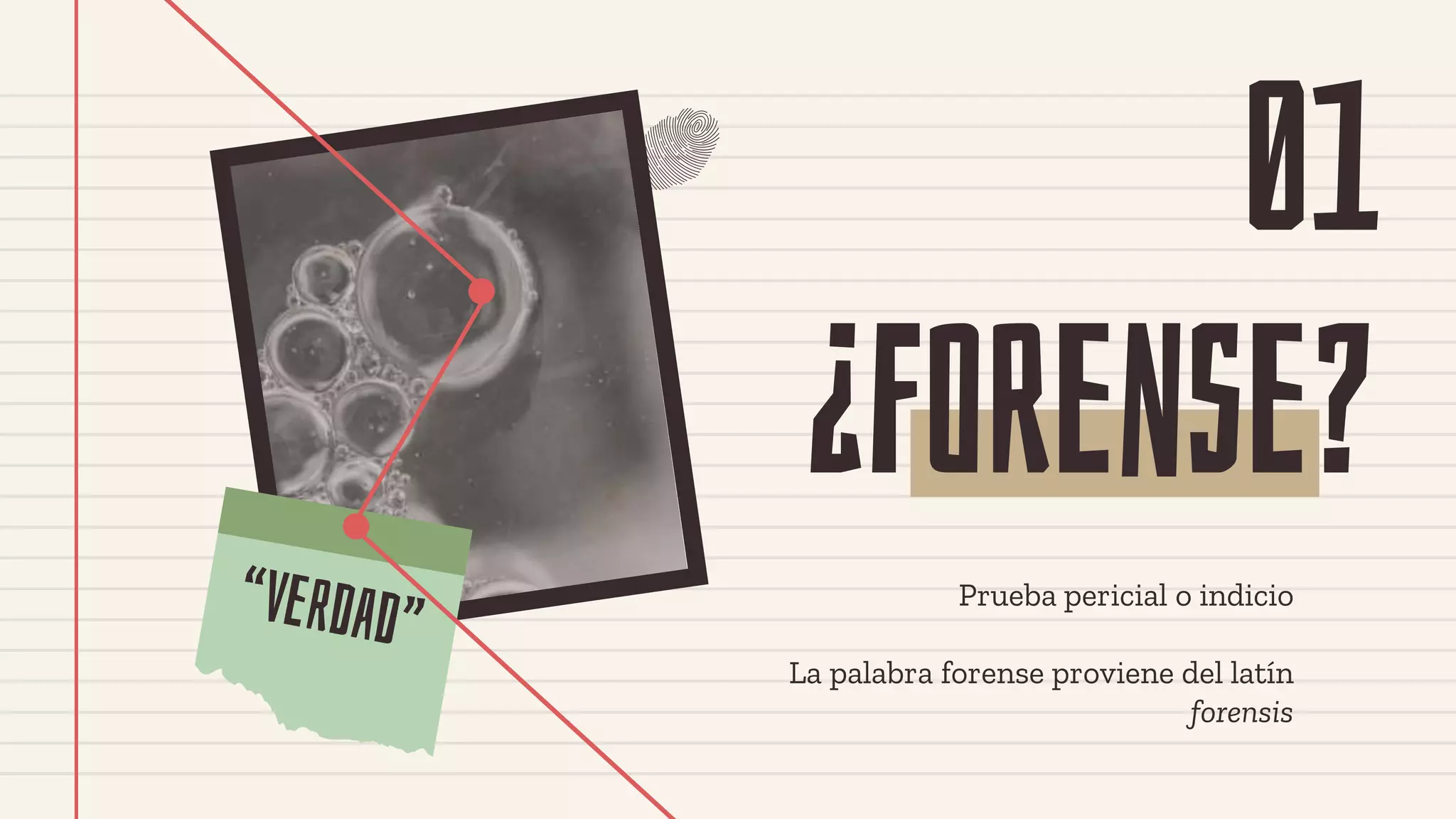 INTRODUCCIÓN A LAS CIENCIAS FORENSES Y CRIMINOLOGICAS (1).pptx