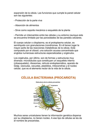 Introducción al estudio de la biología celular | DOCX