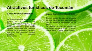 Introducción a Tecomán, Colima presentacion | PPTX