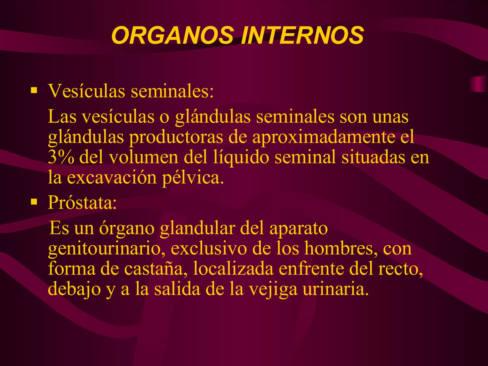 SISTEMA REPRODUCTOR MASCULINO Y FEMENINO SCIE112 | PPT