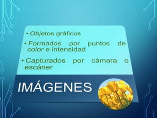 Introduccion ala multimedia | PPTX | Computing | Technology & Computing