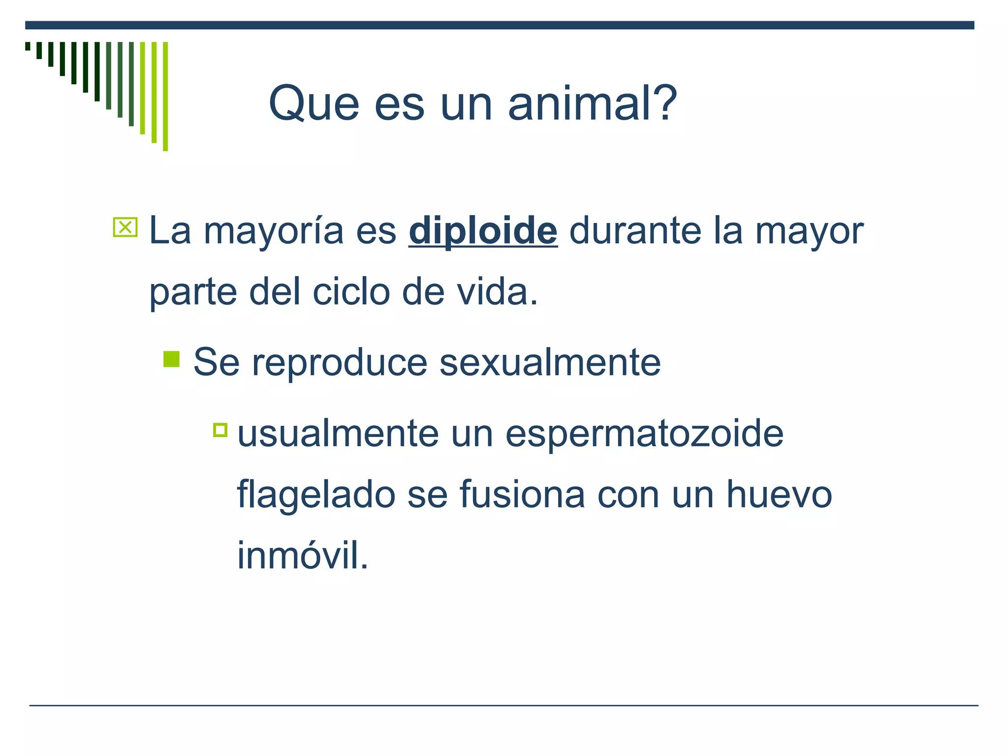 Introduccion A La Evolucion Animal | PPT