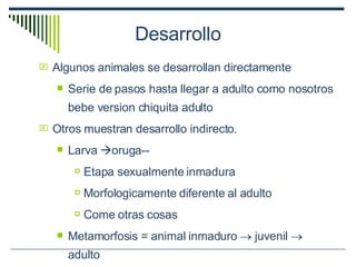 Introduccion A La Evolucion Animal | PPT