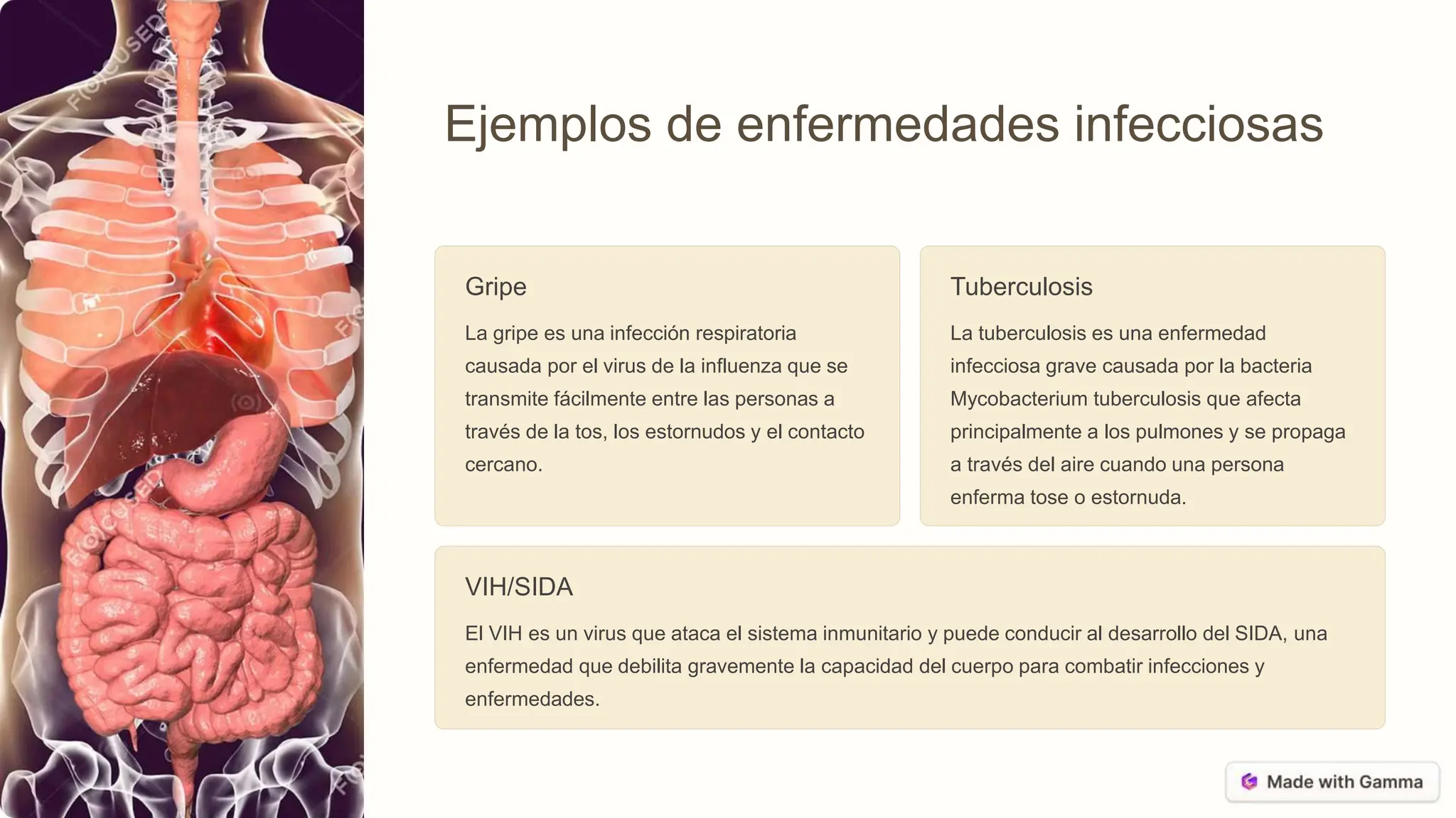 Las enfermedades infecciosas y no infecciosas | PPTX