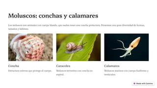 Introduccion-a-los-animales-invertebrados (1).pdf