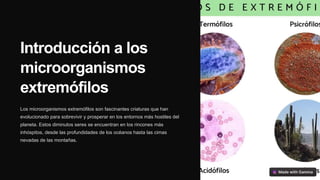 Introduccion-a-los-microorganismos-extremofilos.pptx