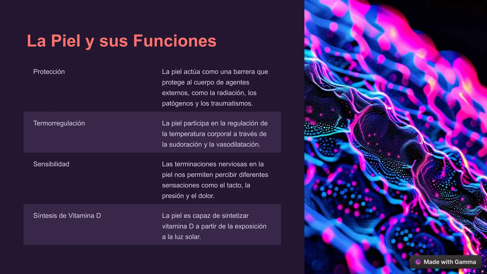 El cuerpo humano, introdución, los sentidos | PPT