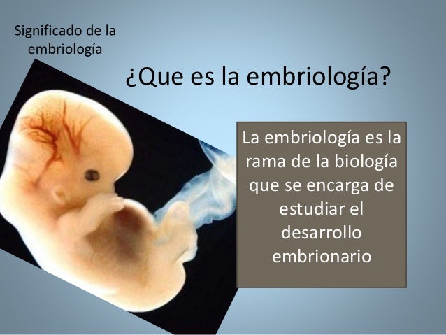 Introduccion a embriologia