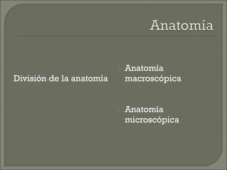 Introduccion a la anatomía | PPT