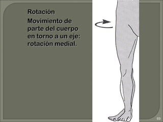 Introduccion a la anatomía | PPT